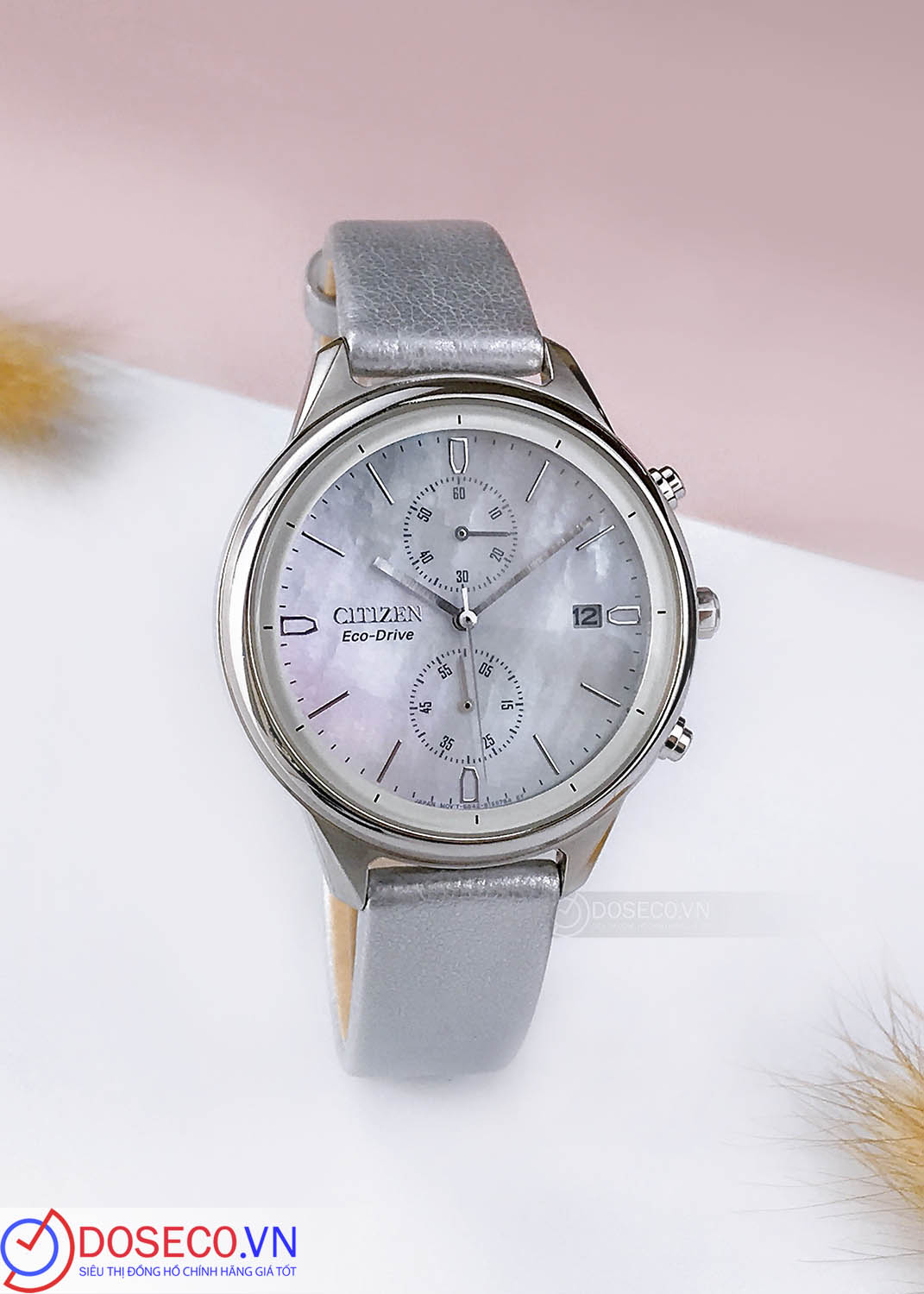 Citizen Eco-Drive FB2000-03D